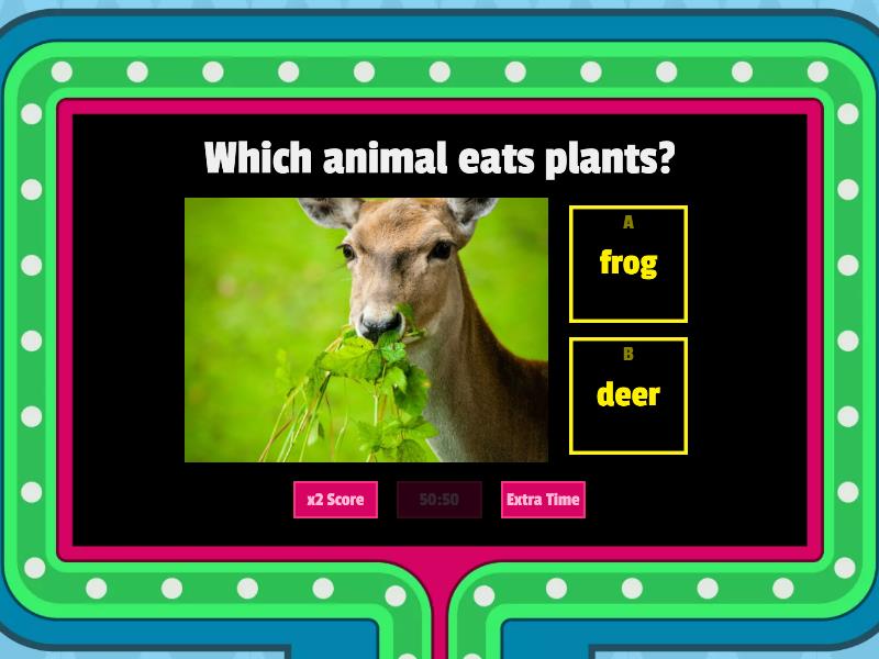 L4 Which animal eats...? - Gameshow quiz
