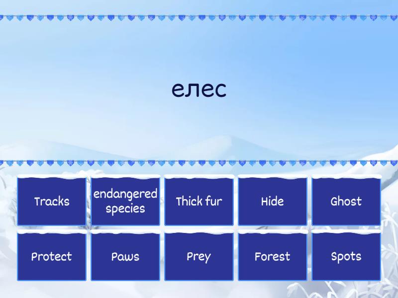 excel 5 5e - Find the match