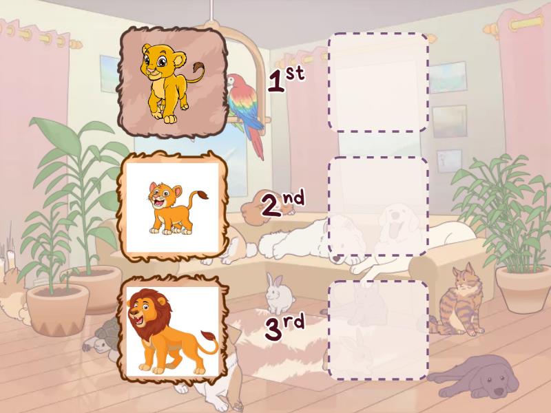 Animal Growth - Rank order