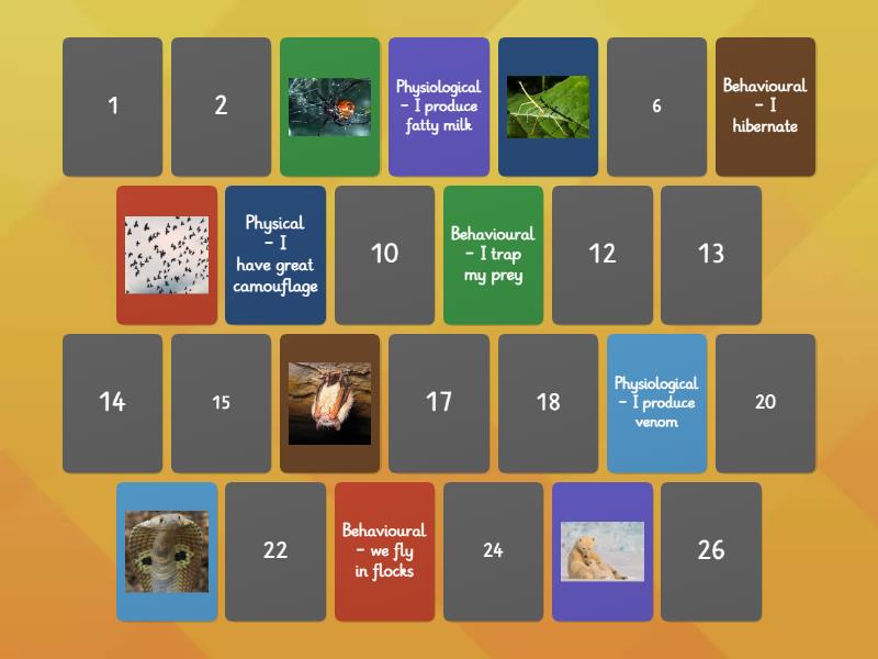 Match the adaptation - Matching pairs