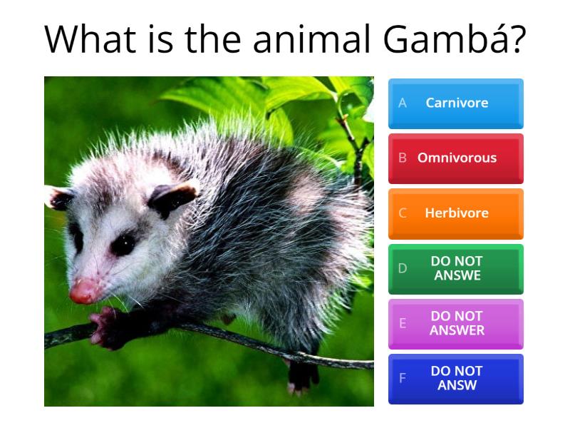 Testing Your Own "Misunderstood Animals" Knowledge! - Questionário