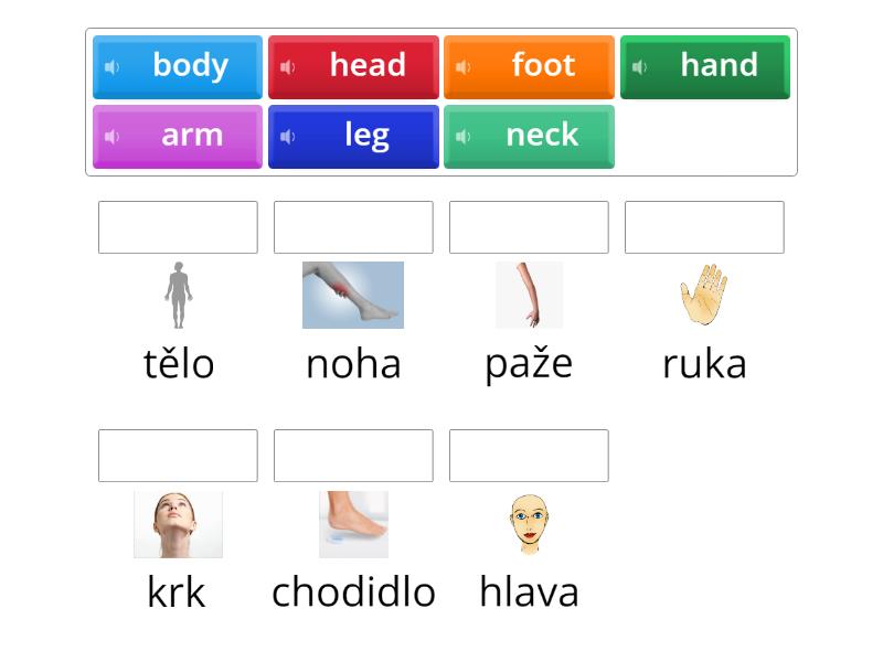 Lesson 7 - Body parts - Match up