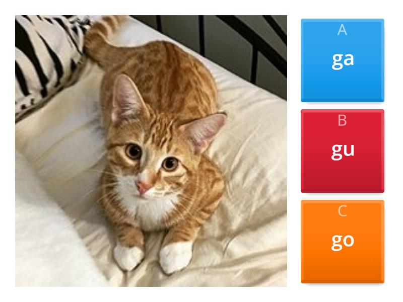 fonema Gg - Quiz