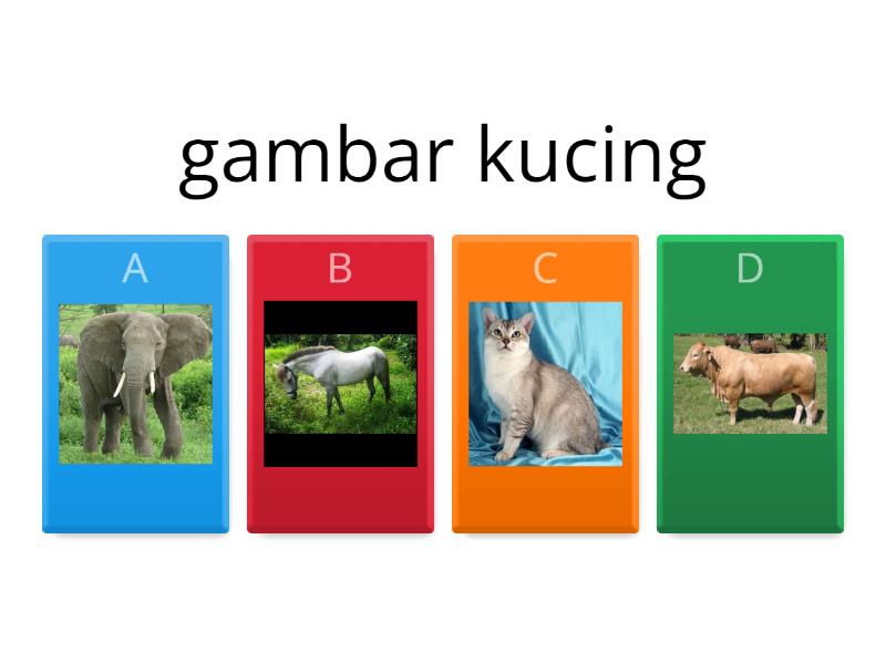 TEBAK GAMBAR - Quiz
