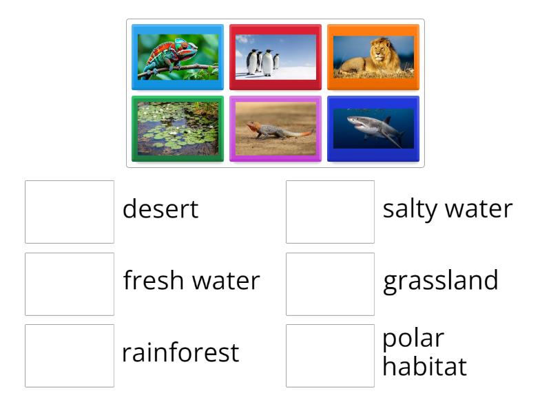 habitats and living organisms - Match up