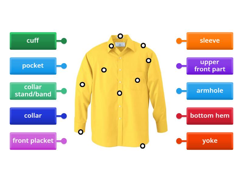 Parts of the shirt - Labelled diagram