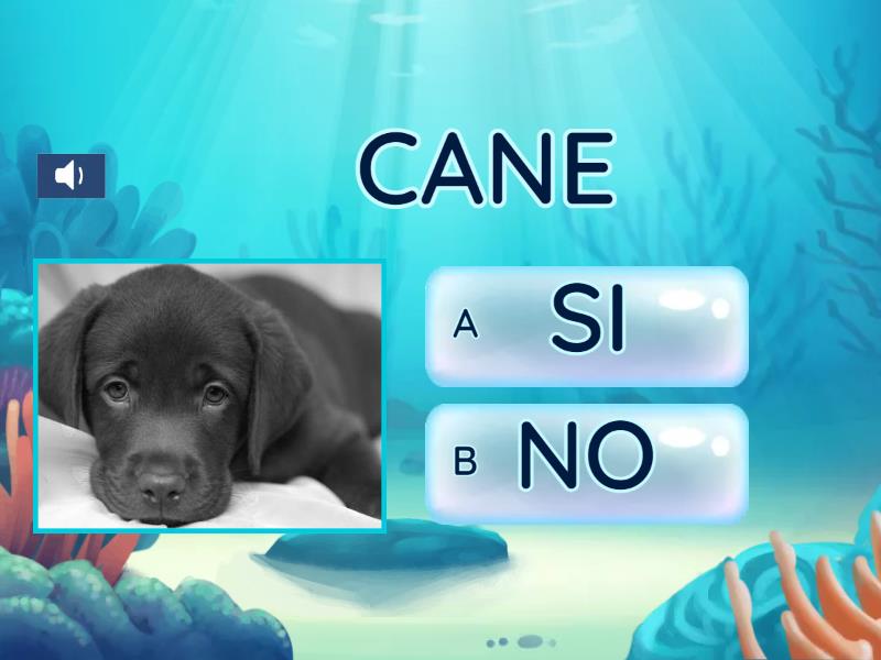 CONTIENE LA N? - Cuestionario
