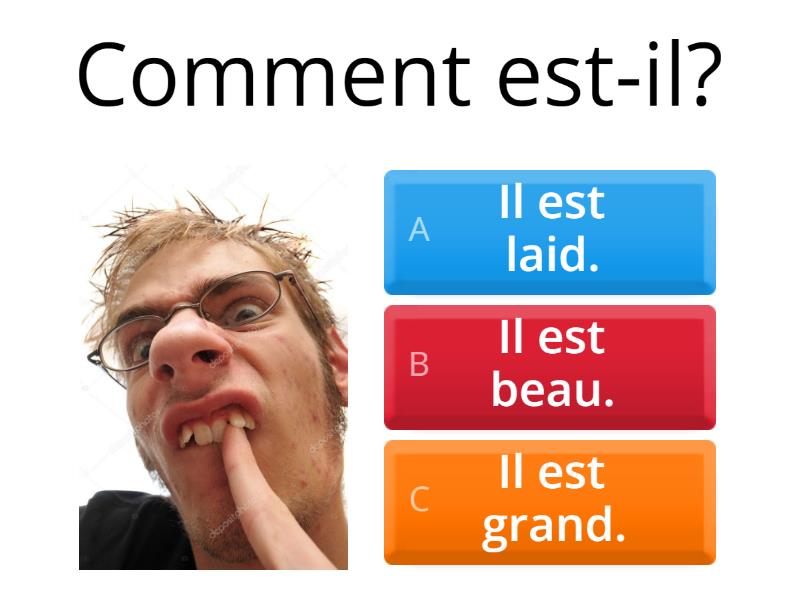 La description physique - Cuestionario