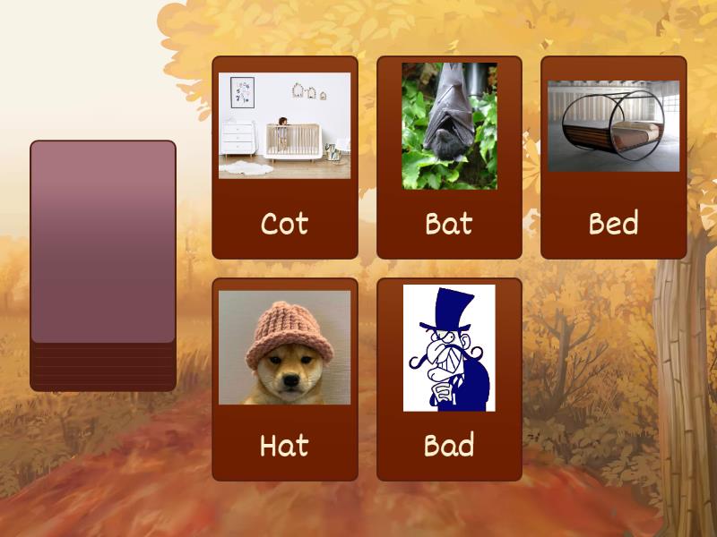Minimal Pairs - Vowel Sounds for Spanish Speakers - Speaking cards