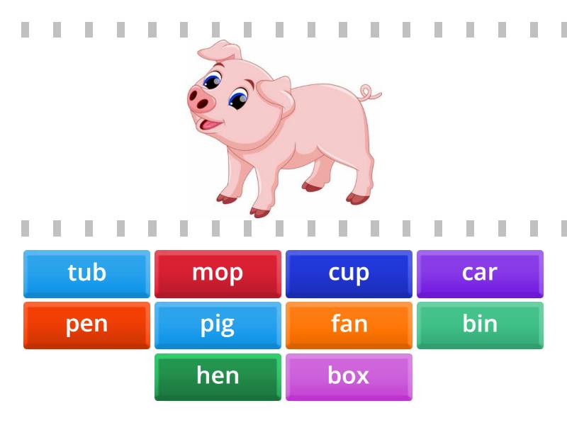 CVC word: read and find - Cada oveja con su pareja