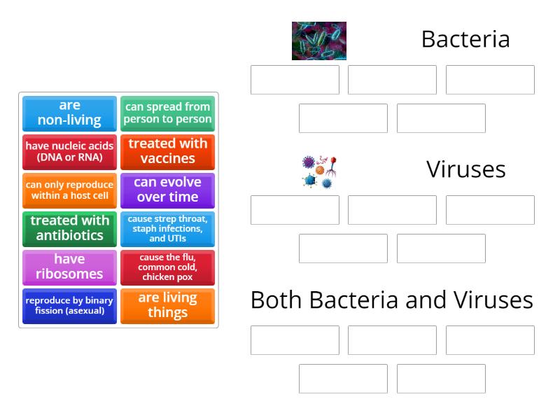 Virus and Bacteria - Group sort
