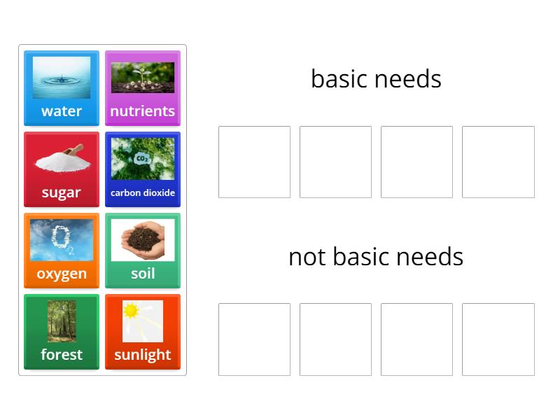 Basic And Not Basic Needs Group Sort
