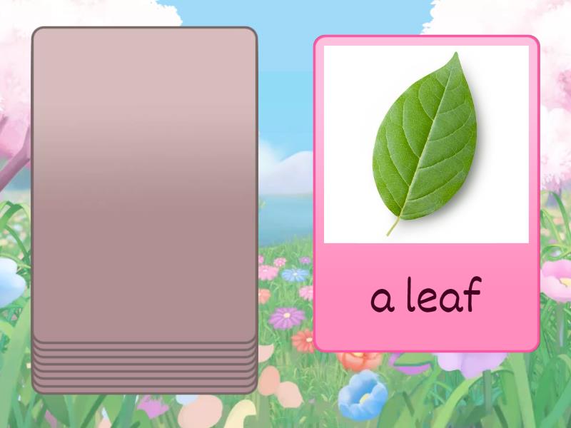 spring - Speaking cards