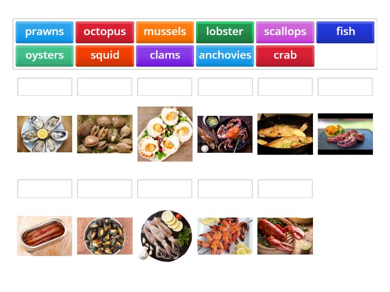 Food Vocabulary 2 - Seafood - Match up