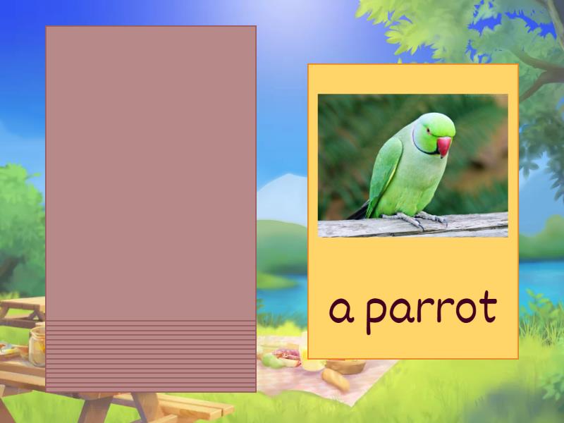 Wild animals - Speaking cards