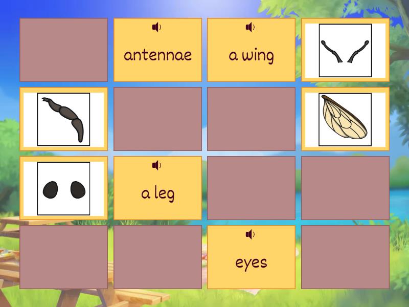 Busy bees_Parts of the body ()_beginners - Matching pairs