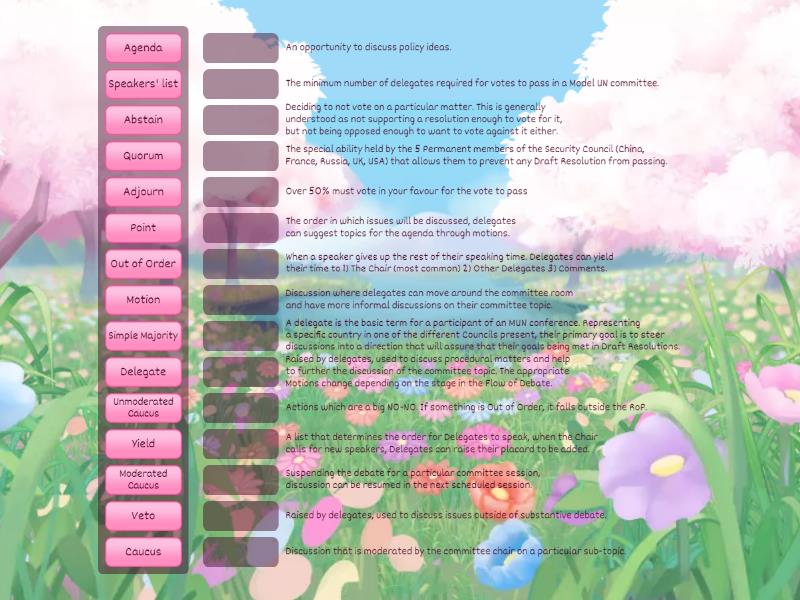 MUN Vocabulary - Match up