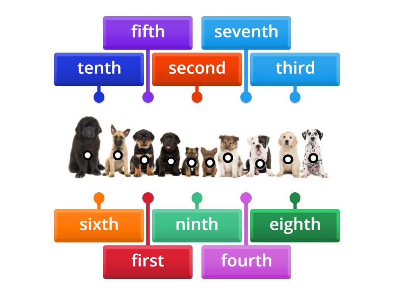 Ordinal Numbers 1st-10th - Labelled diagram
