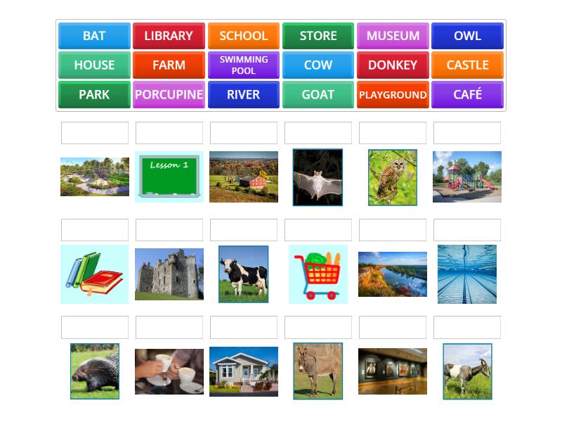 REVIEW (UNITS 2-3) - Match up