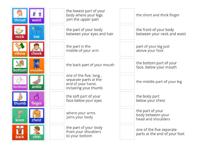 prepare 4 unit 11 body part - Match up