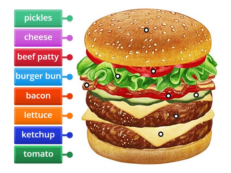 Hamburger - Labelled diagram