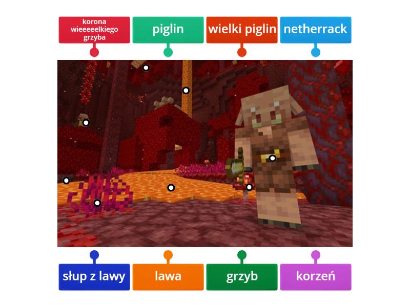 minecraft - Labelled diagram
