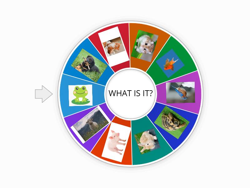 PETS - wheels - Random wheel