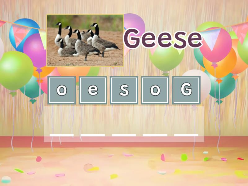 Irregular Plural Nouns - Anagram