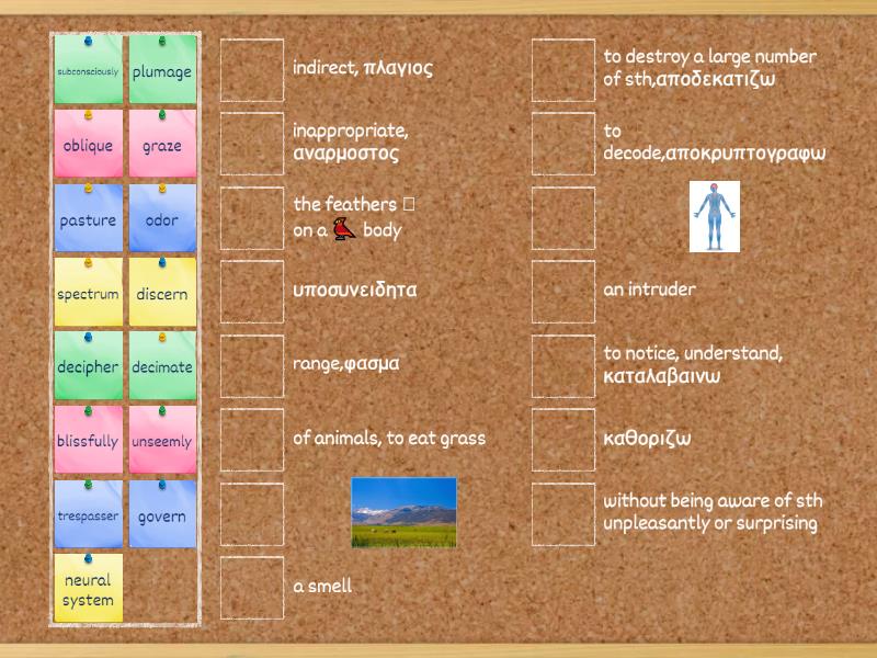 unit 16 stars 2 - Match up