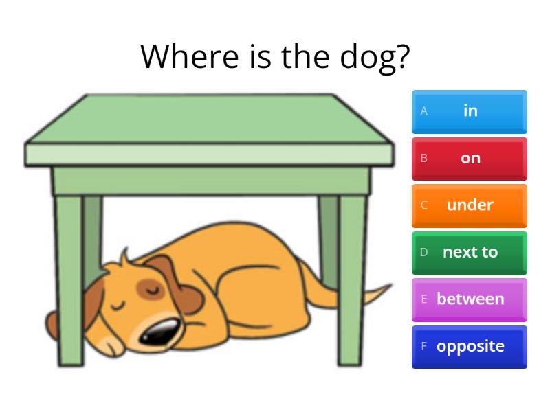 Prepositions - in on under next to behind between in front of - Quiz