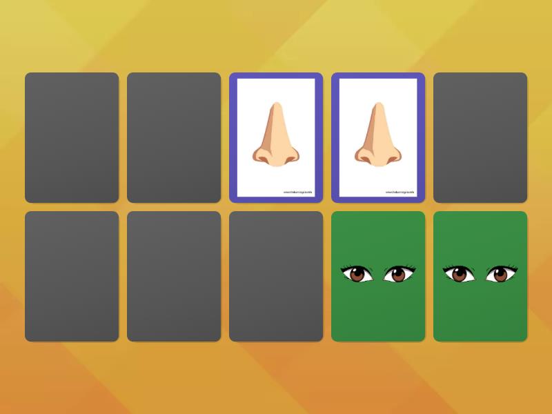 Five Senses Memory Game - Matching pairs
