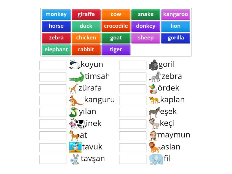 2. GRADE UNIT 10 WORDS ANIMALS - Match up
