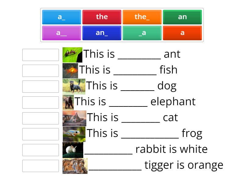 DEFINITE AND INDEFINITE ARTICLES - Match up