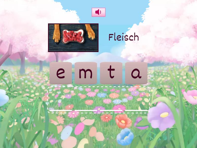 Unit 4: Pets - Anagram