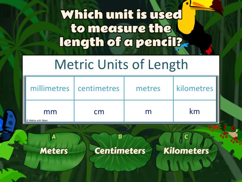 10 Measurements Quiz