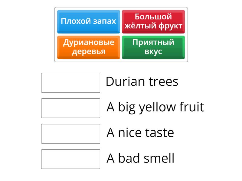 AS1 U10 Durian quiz - Match up