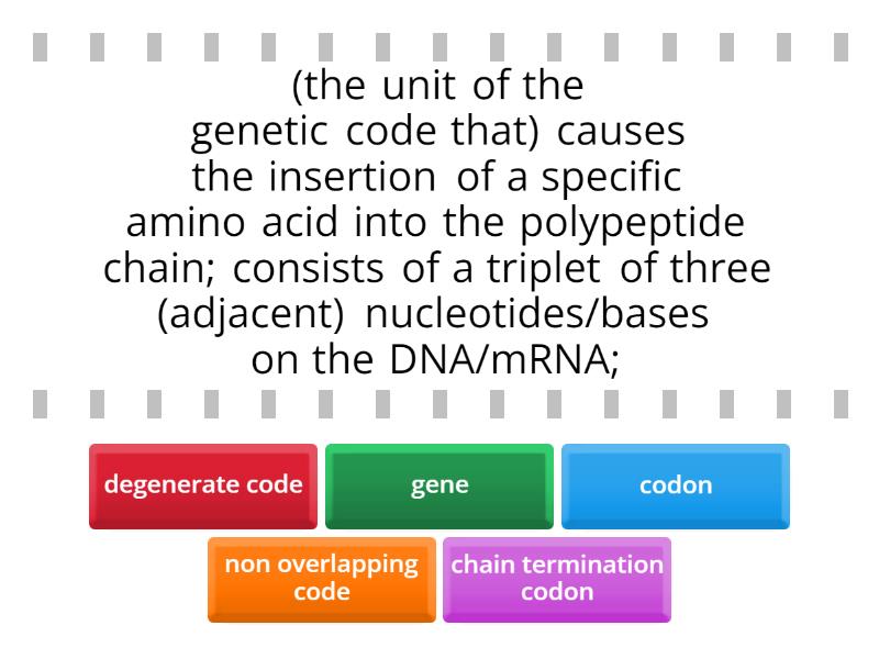 Match up - Genetic code terminology - Find the match