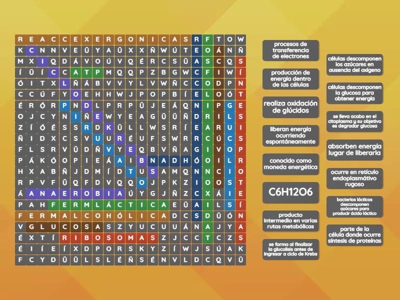 metabolismo celular - Sopa de letras