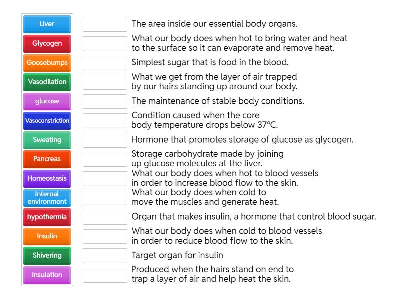 Homeostasis key words - Match up