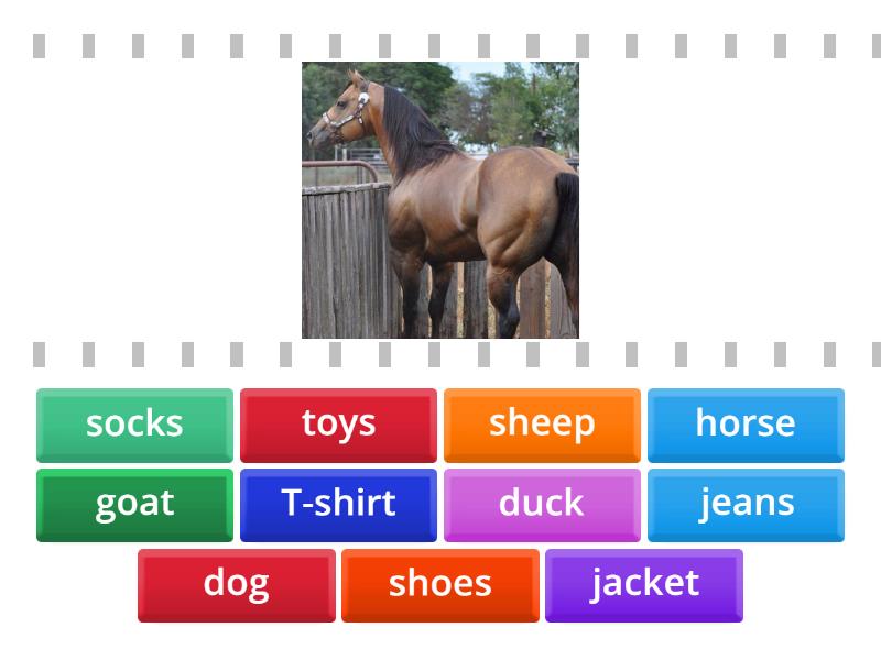 Power Up 0 - Unit 9 Review - Find the match