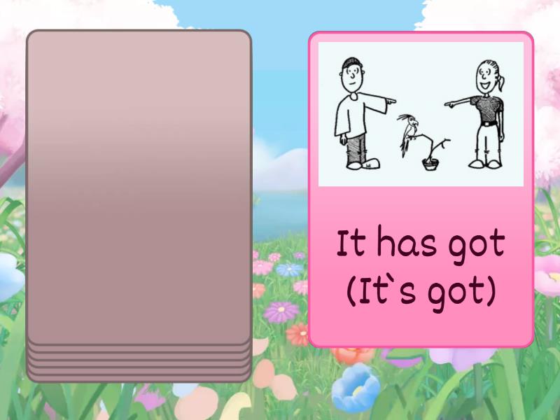 Pronouns + have has got - Speaking cards