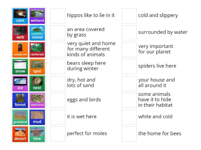 Animal habitats - Match up