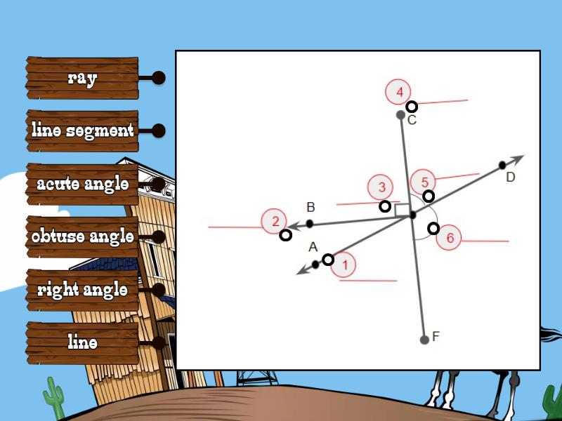 Lines & Angles - Labelled diagram