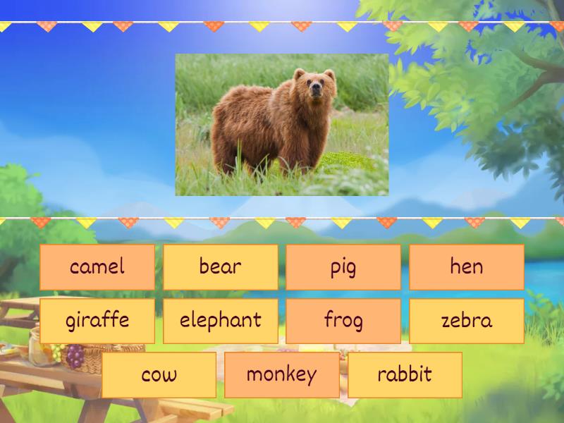 level 1-animals - Find the match