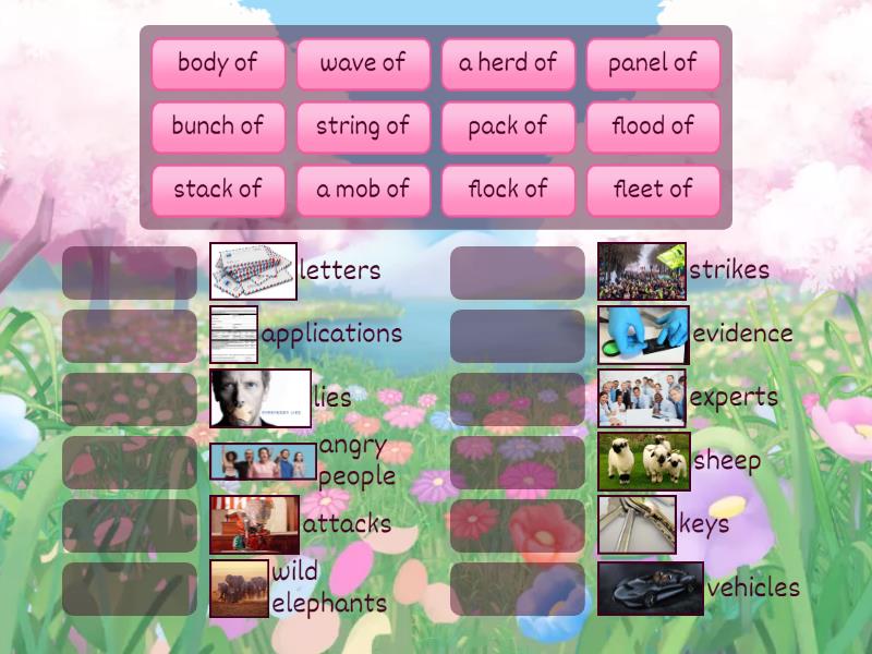 Roadmap B2+ Unit 5 C Collective nouns - Match up