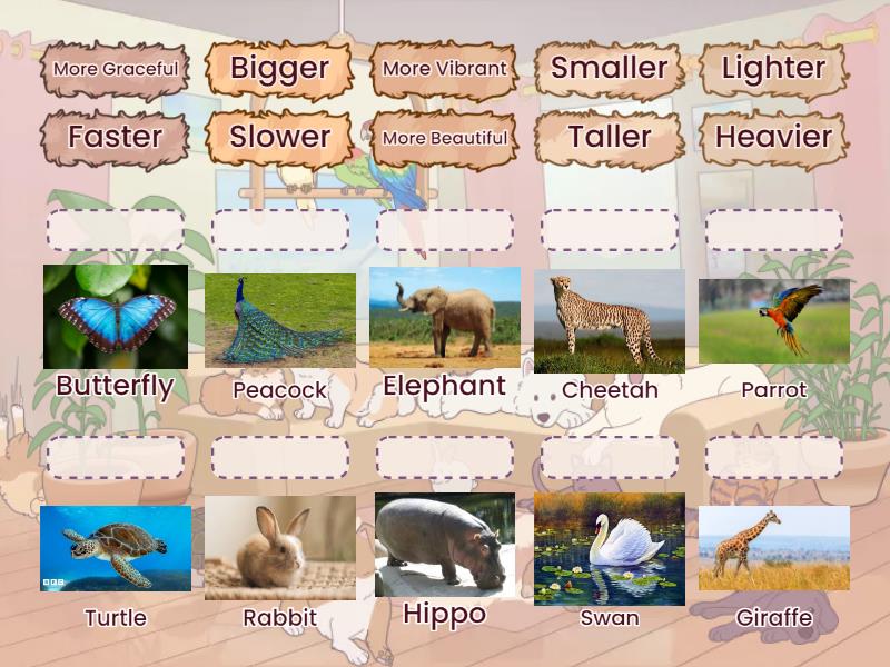 Animal Adjective ! - Match up