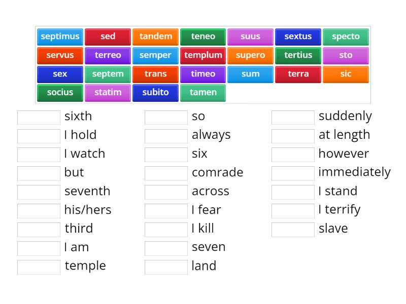 Level 1 (S-T) - Match up
