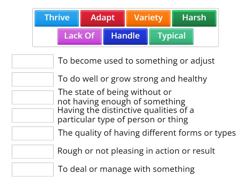 Match The Word To The Correct Definition - Match up