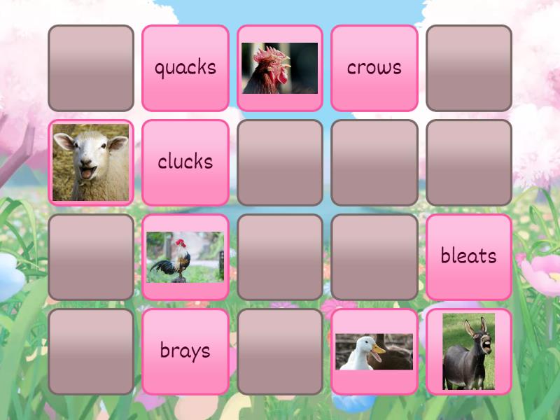 Animal Sounds - Matching pairs