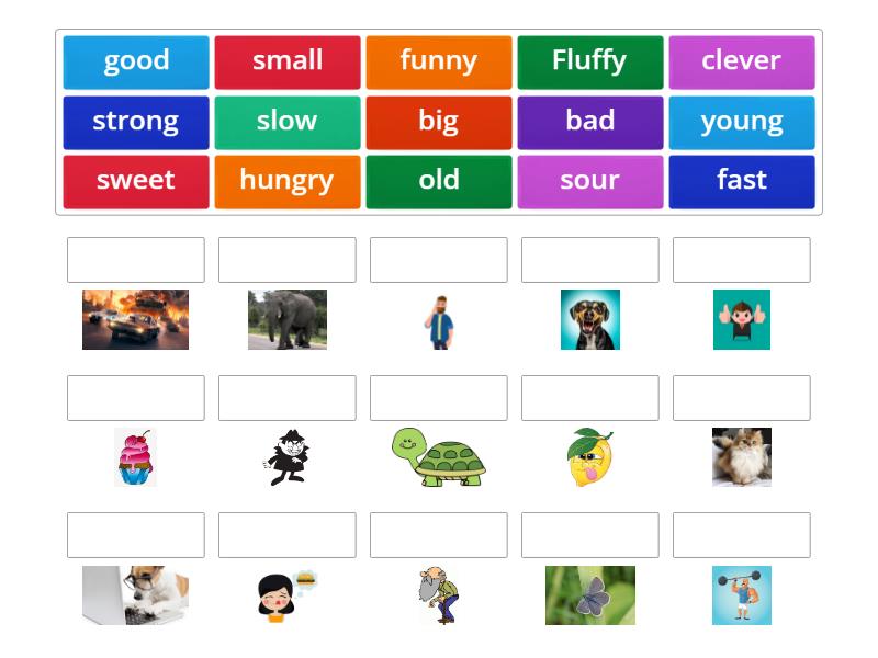 adjectives 1st grade - Match up